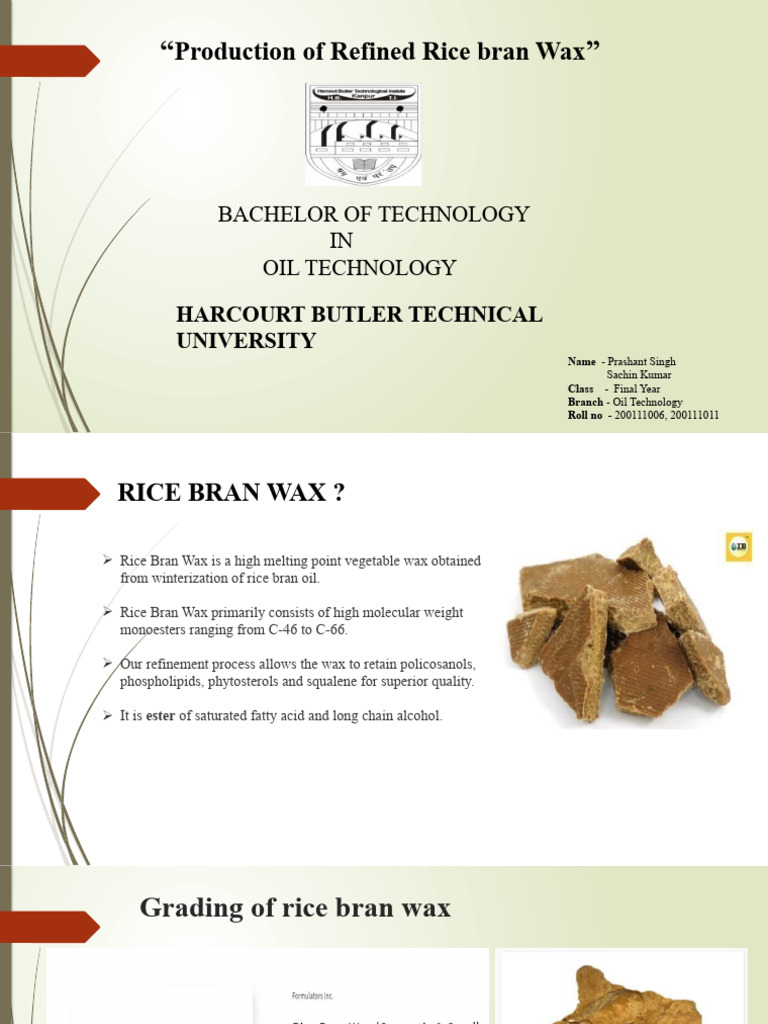 Rice Bran Wax Production Guide | PDF | Wax