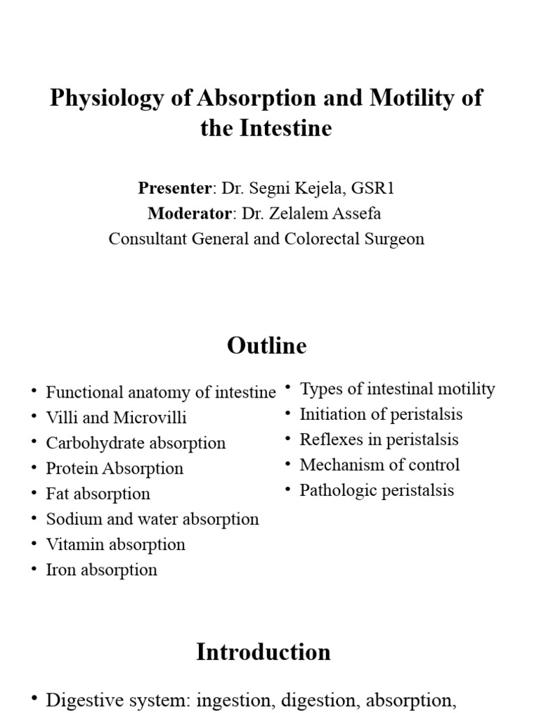 Physiology of Absorption and Motility of The Intestine | PDF ...