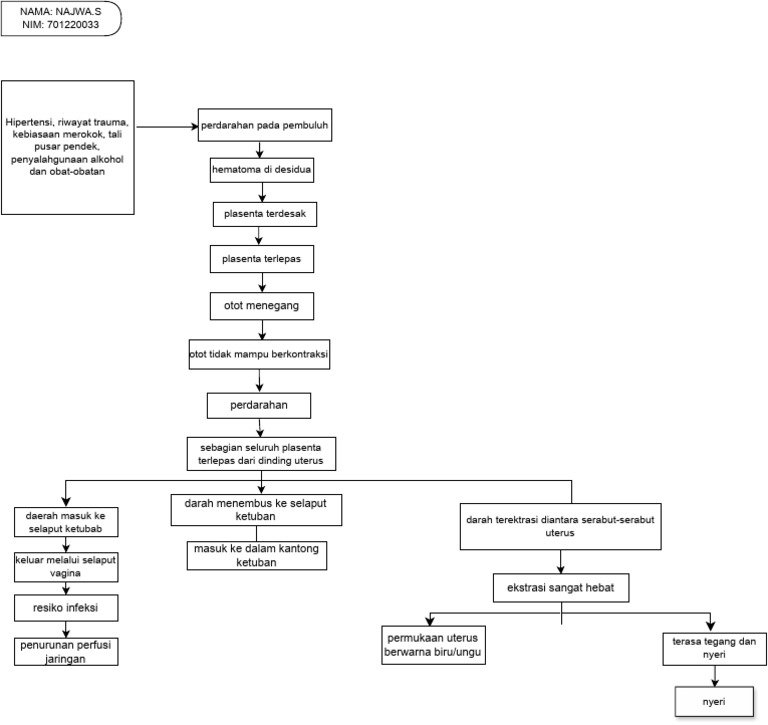 Woc Solusio Plasenta | PDF