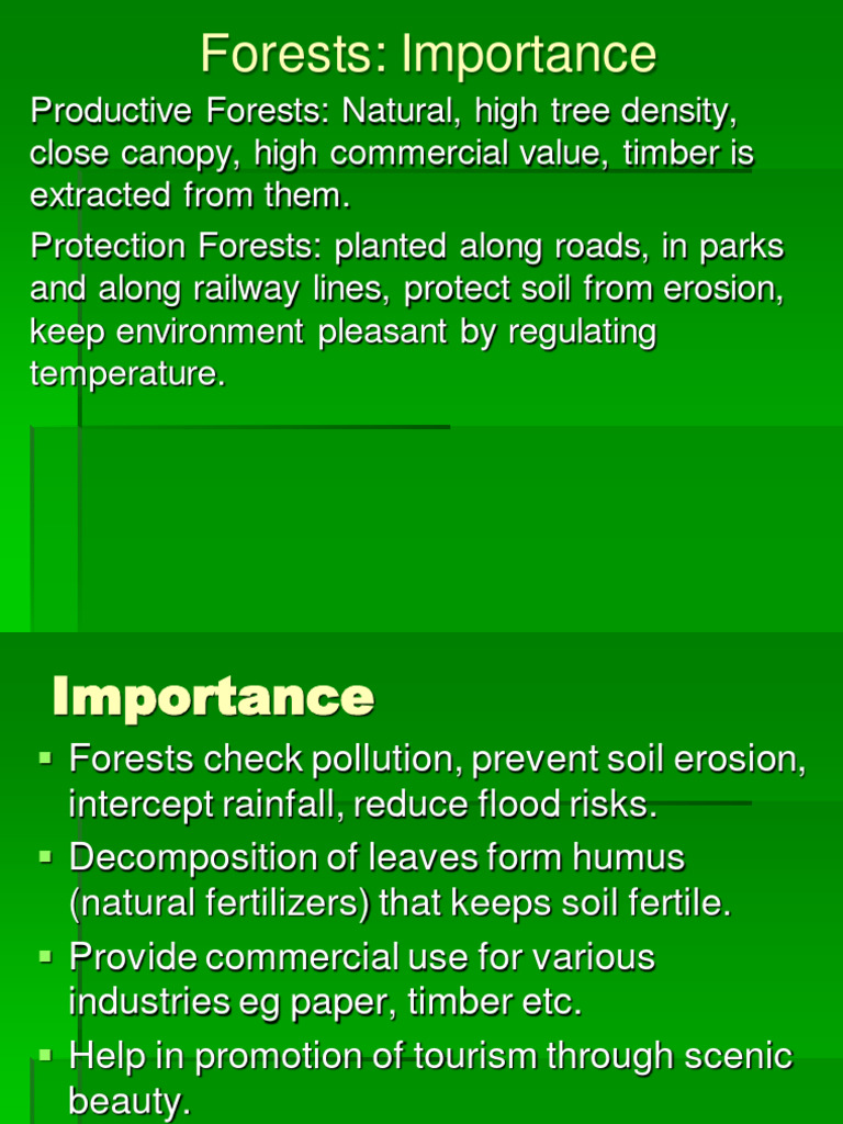 Forests | PDF | Forests | Soil