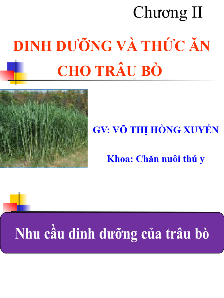 Chương II Dinh Dư NG Và TH C Ăn | PDF