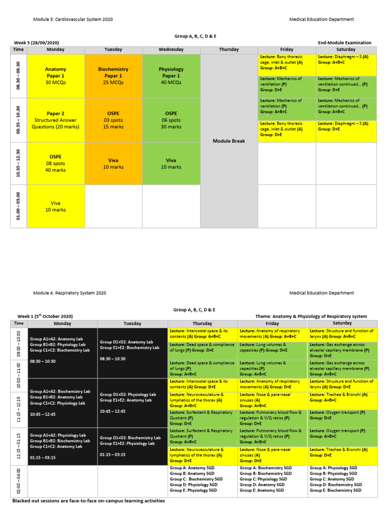 Module 4 Respiratory System 2020 4 | PDF | Lung | Respiratory System