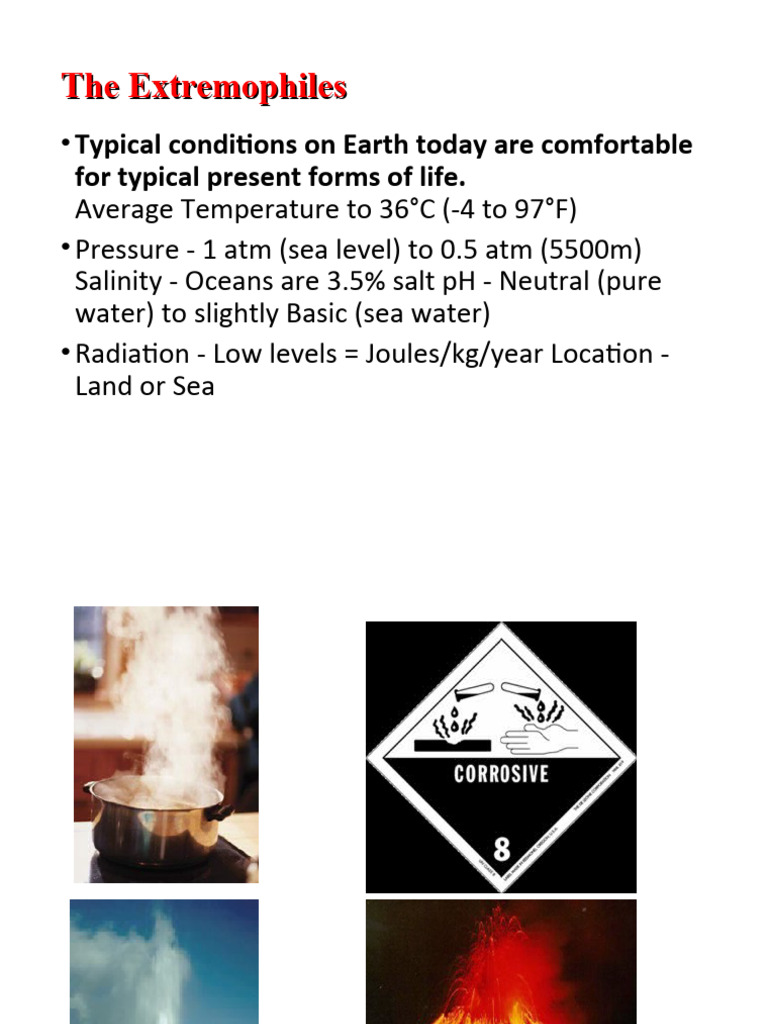 Extreme Environments Microbes | PDF | Bacteria | Water