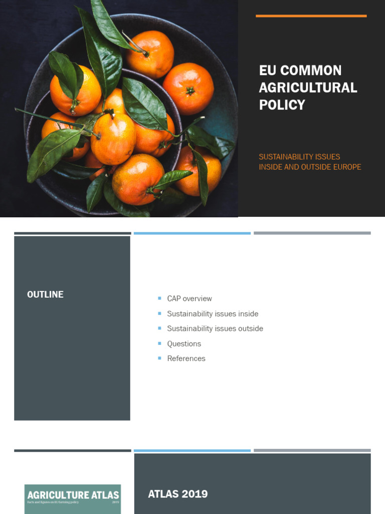 #195 Aurélie Trouvé - EU Common Agricultural Policy | PDF | Agriculture ...