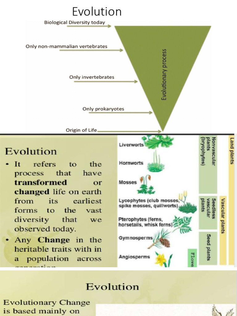 Evolution 1 | PDF | Evolution | Biogeography