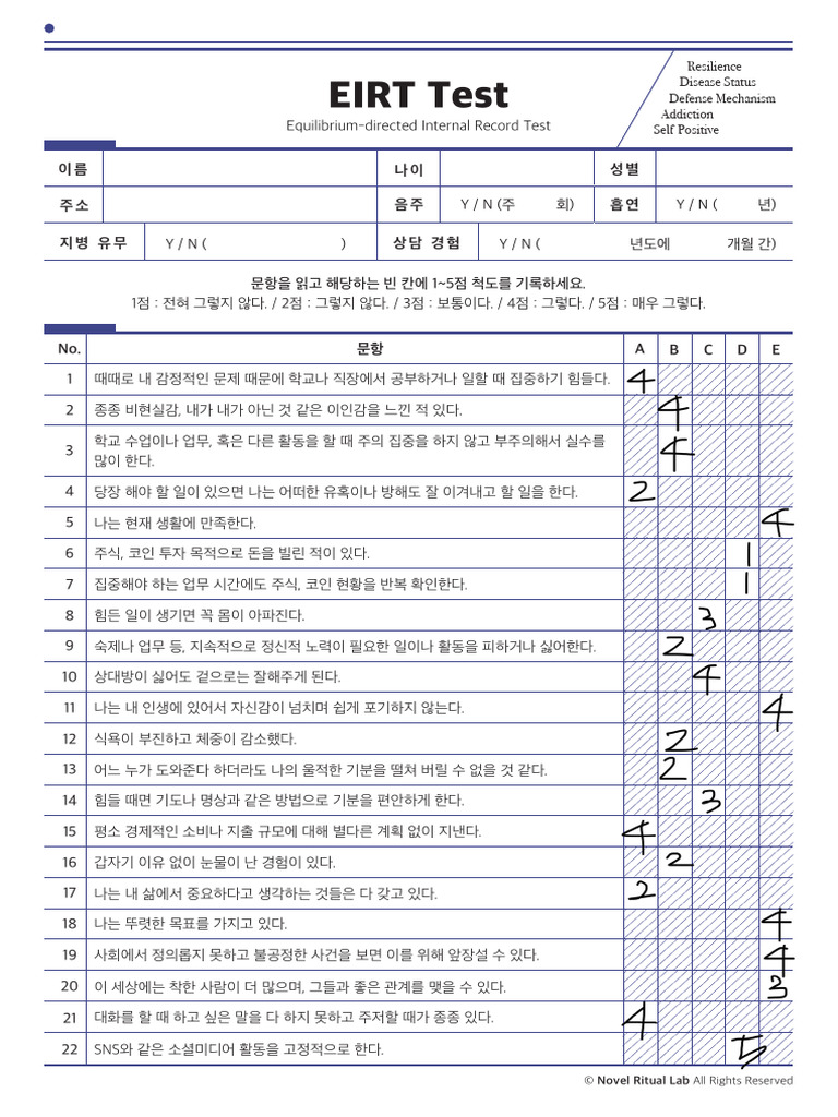 EIRT 검사지 - 플랜디 | PDF