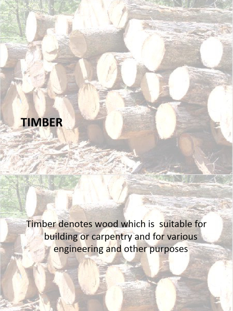 Timber | PDF | Door | Hardwood