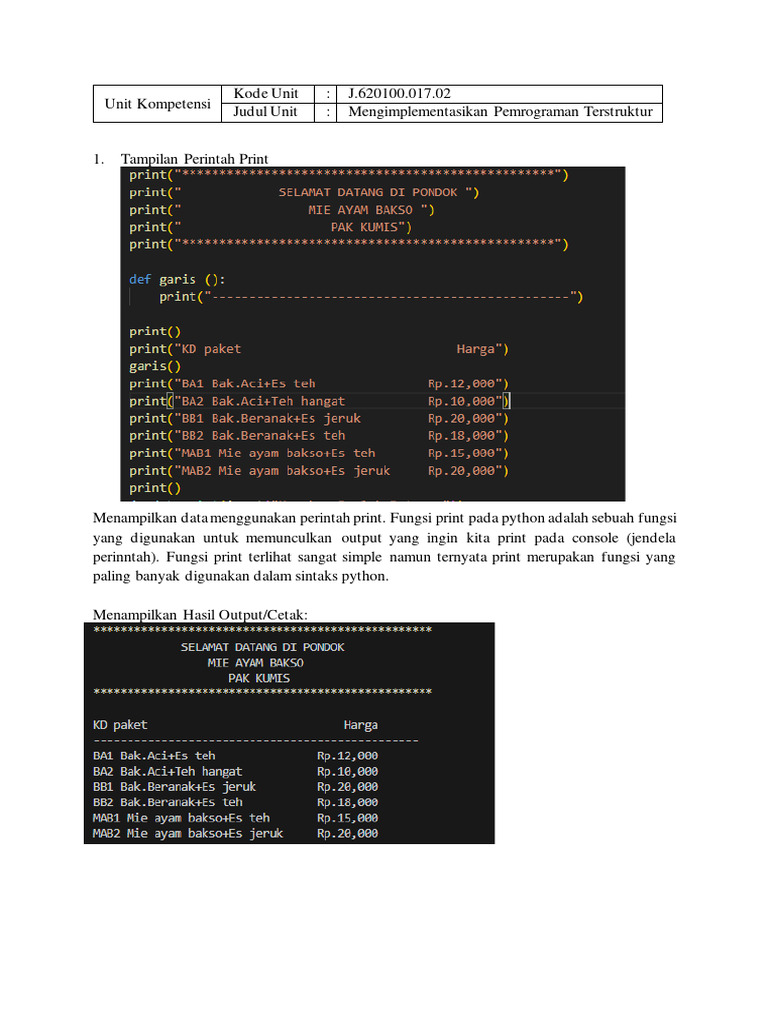 Panduan Pemrograman Terstruktur Python | PDF