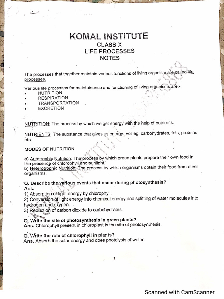 Life Processes PDF Class 10th | PDF