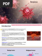 Endophytic and Exophytic Tumors | PDF