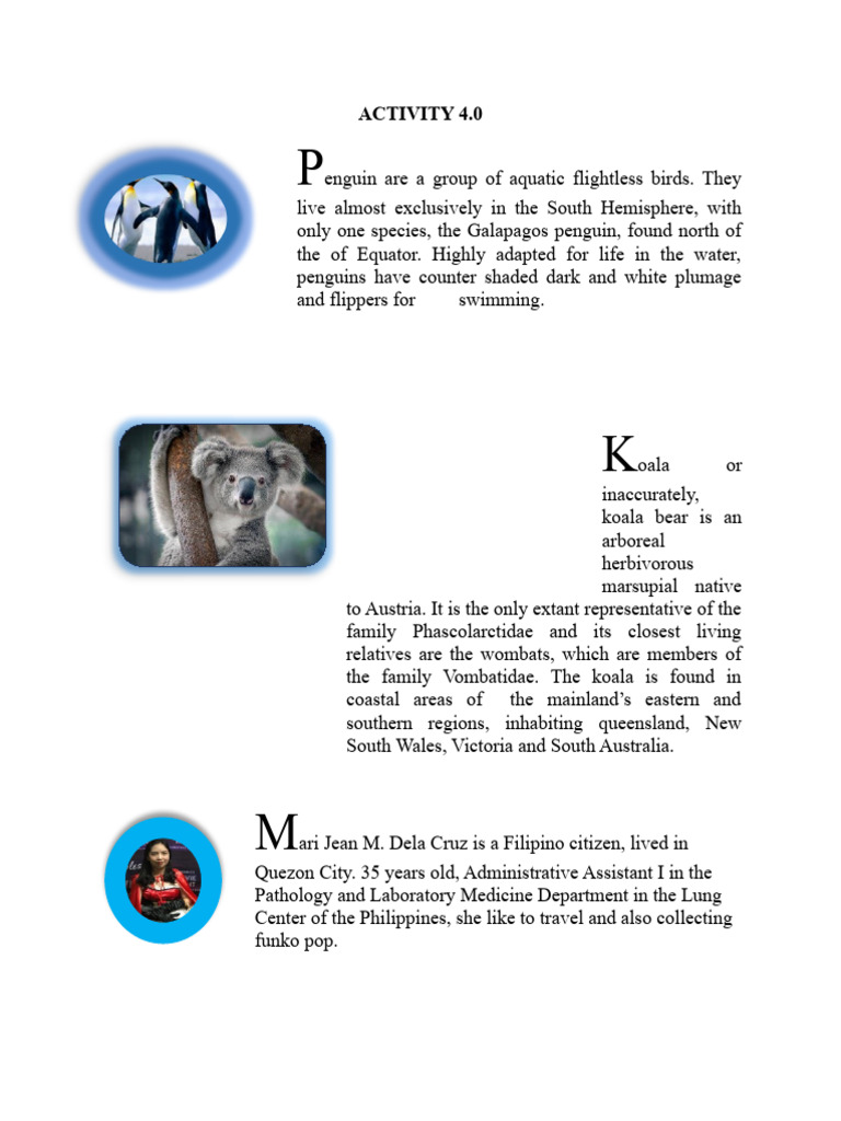 Activity 4.0 | PDF
