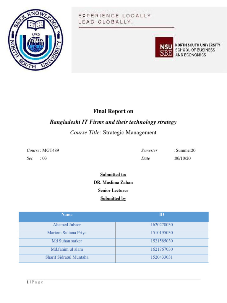 MGT Final Report Group 3 | PDF | Strategic Management | E Commerce
