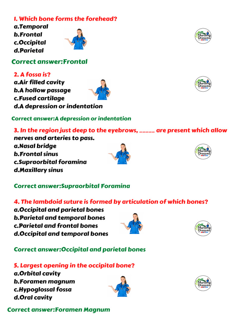 Correct Answer:frontal: 1. Which Bone Forms The Forehead? | PDF ...