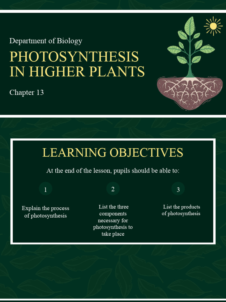 Photosynthesis in Higher Plants | PDF | Photosynthesis | Chemistry