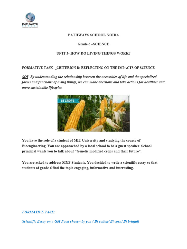 Formative Assessment - Criterion D | PDF | Science | Cognition