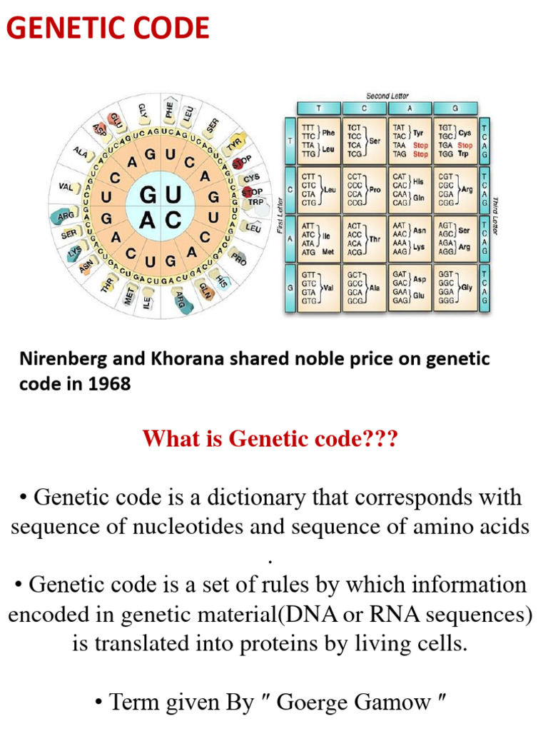 Genetic Code | Download Free PDF | Genetic Code | Gene