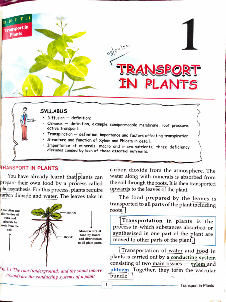 Biology 1st Chapter Pdf Tissue Biology Osmosis