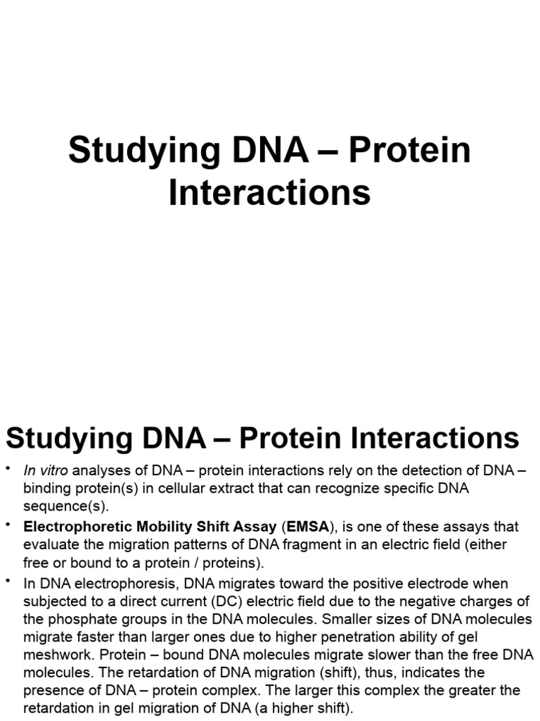 DNA Protein - Protein Protein Interaction Assays | PDF ...