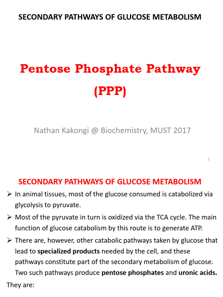 Pentose Phosphate Pathway PDF | PDF | Metabolic Pathway | Glycolysis