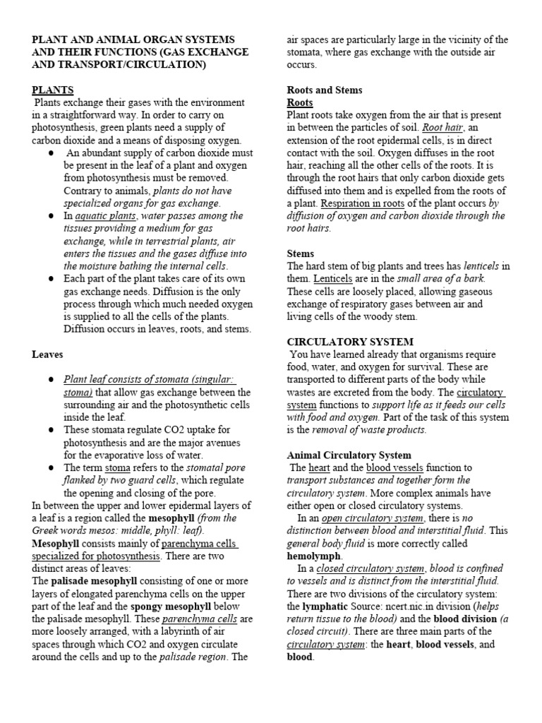 Circulatory System | PDF | Heart | Blood