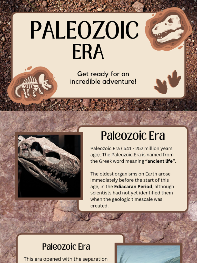 Brown Cream Fossils Lesson and Quiz | PDF | Geology | Earth Sciences