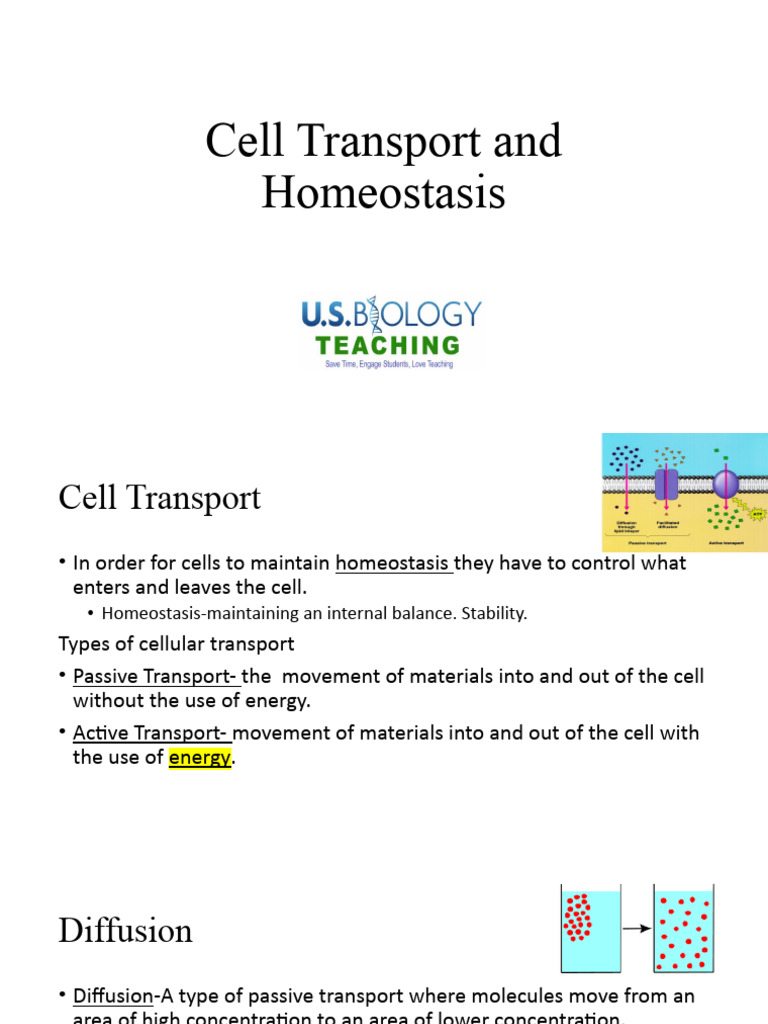 Cell Transport Mechanisms Explained | PDF | Osmosis | Cell Membrane