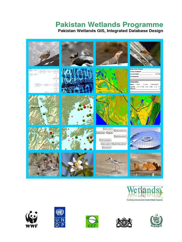 2 Database | PDF | Metadata | Geographic Information System