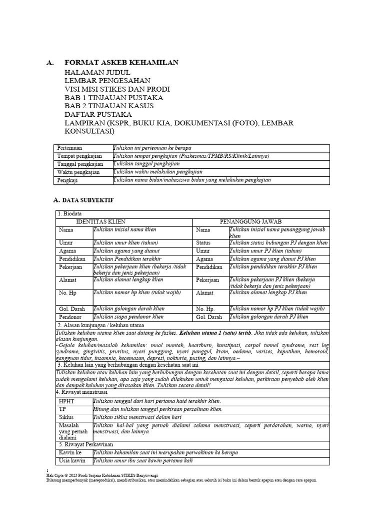Contoh Pengisian ASKEB | PDF