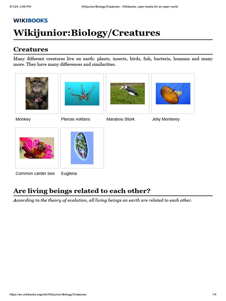 Wikijunior - Biology - Creatures - Wikibooks, Open Books For An Open ...
