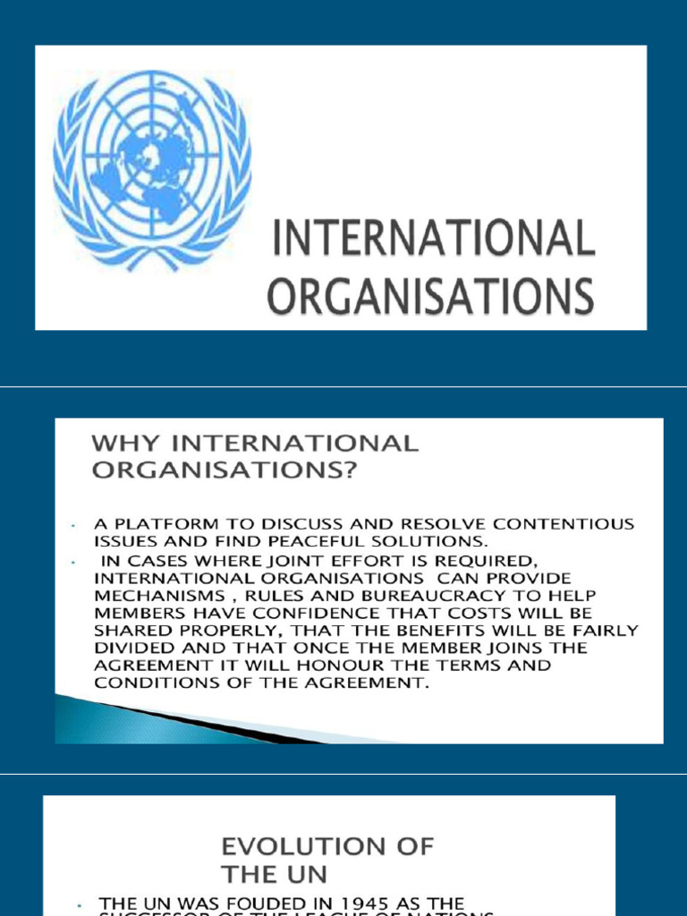 Chapter 6 International Organisations | PDF