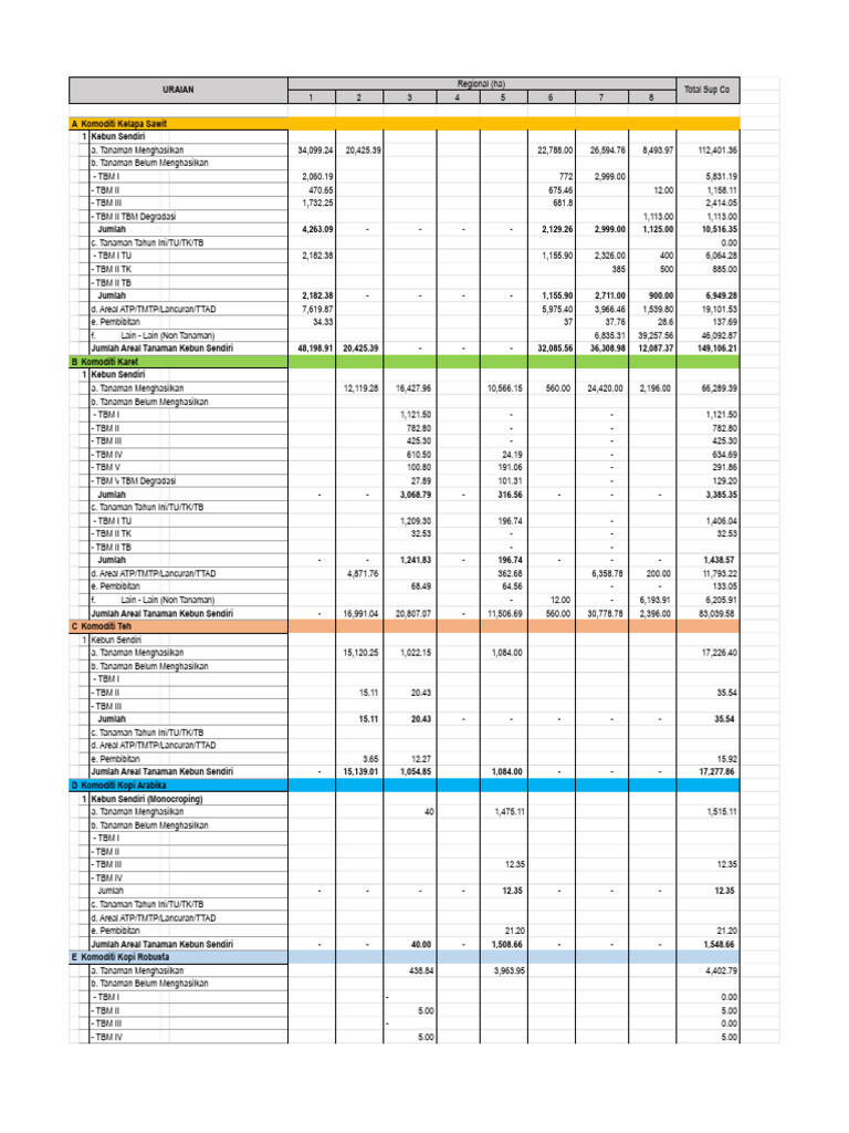 Areal RKAP 2024 Sup Co | PDF