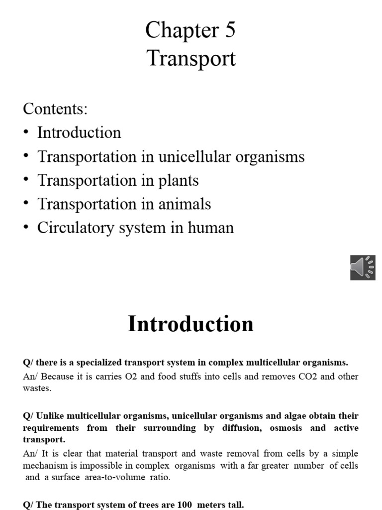 Chapter 5 Transport | PDF | Stoma | Osmosis