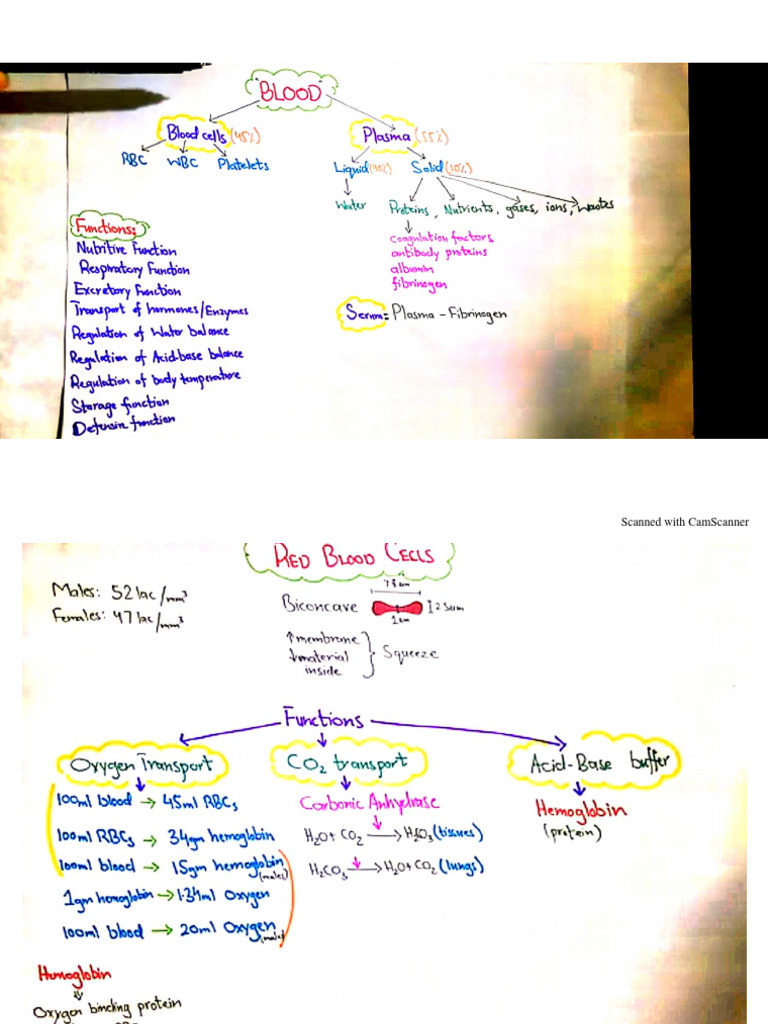 Blood by Medical Gateway | PDF