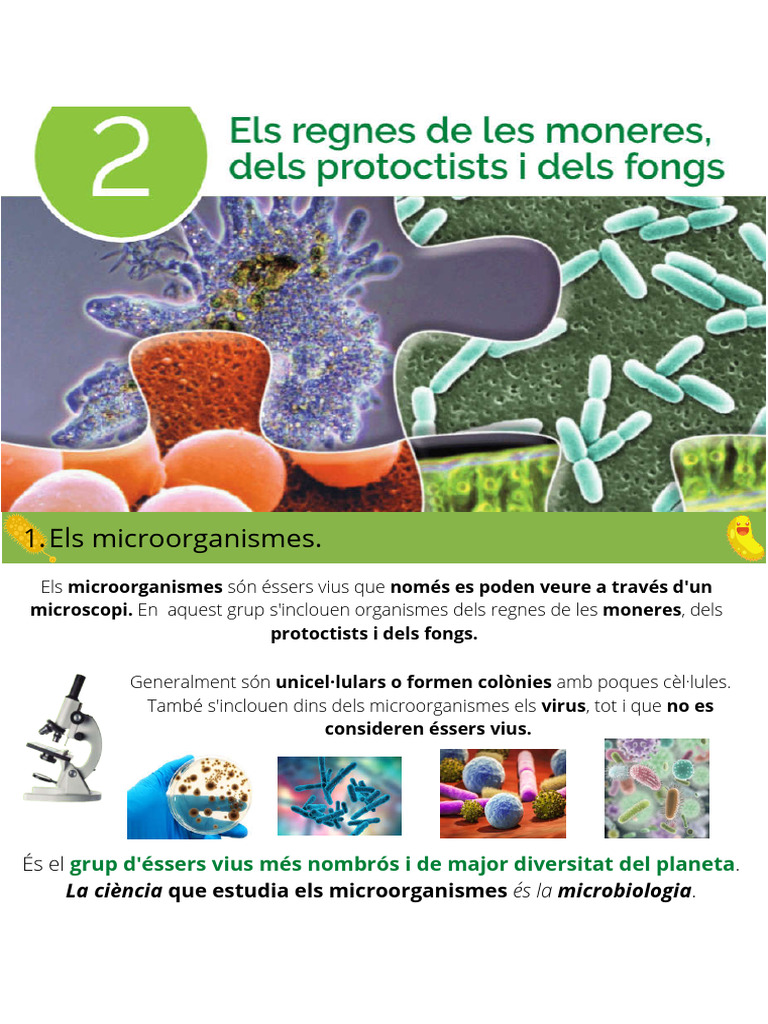 Tema 2. Regnes Moneres Etc (2pp) | PDF