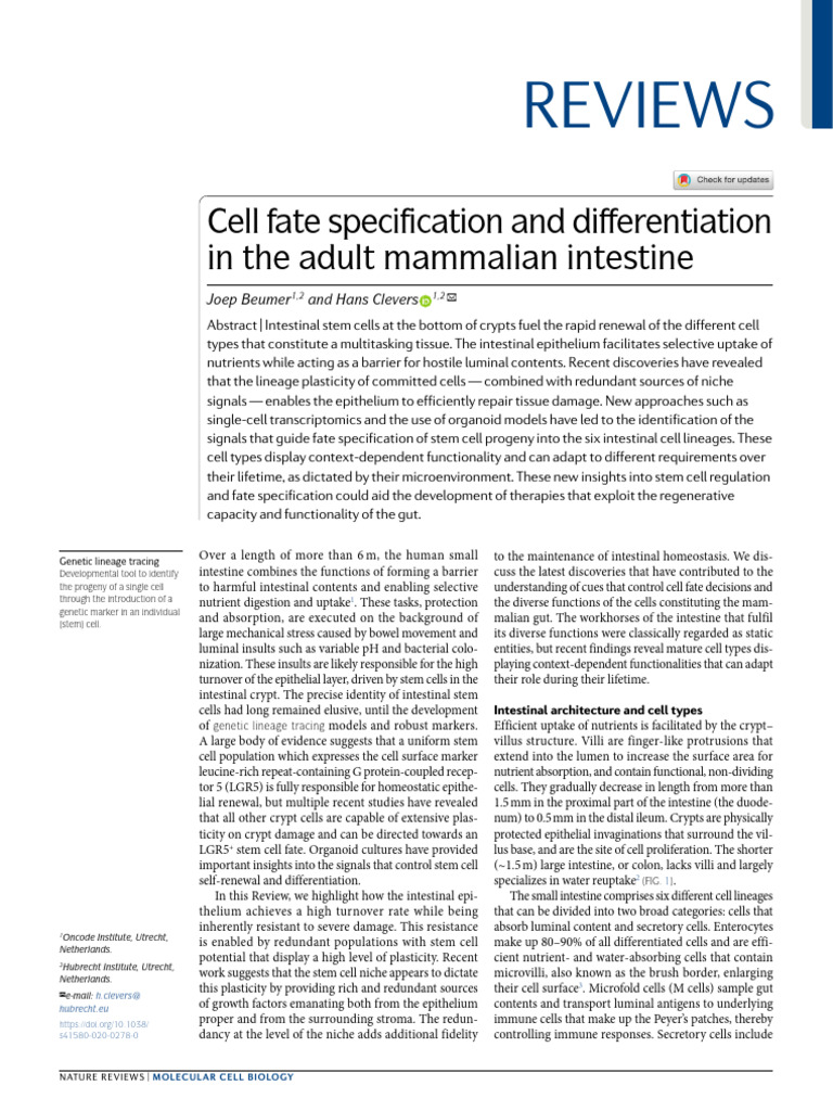Reviews: Cell Fate Specification and Differentiation in The Adult ...