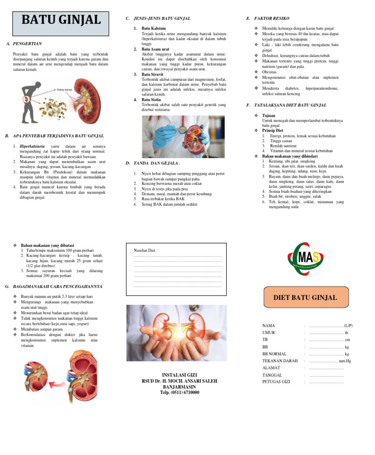 Batu Ginjal | PDF