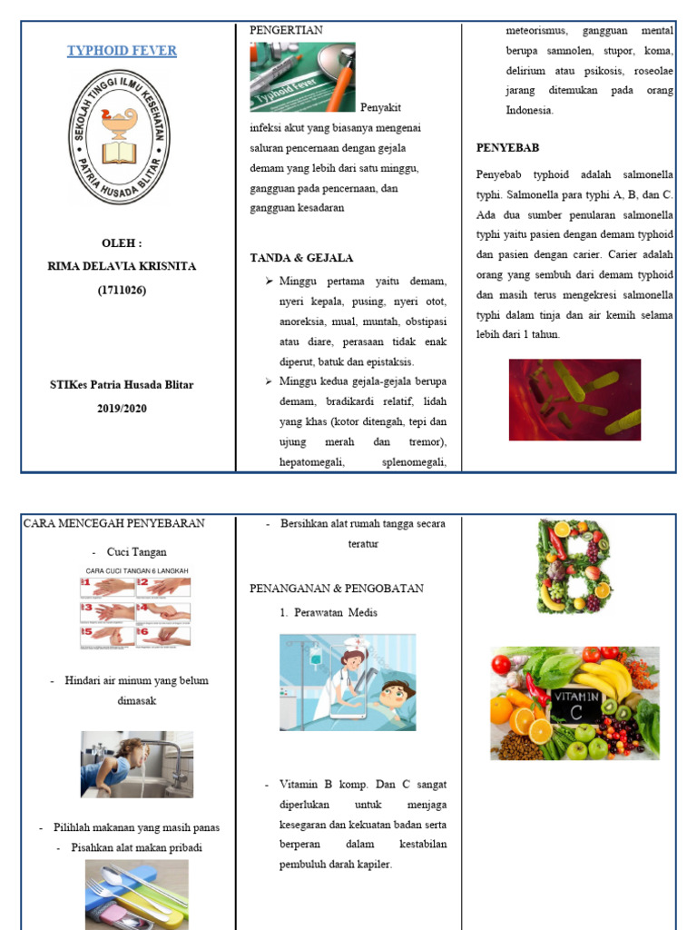 Leaflet Typhoid Fever | PDF