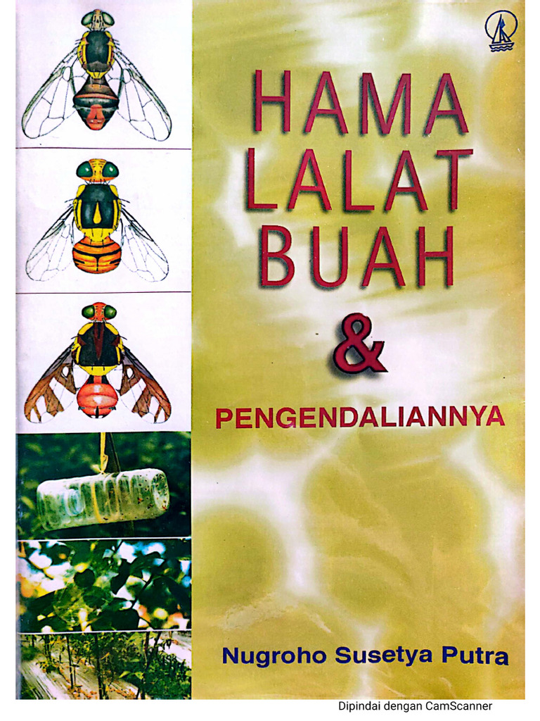 Lalat Buah Hama | PDF