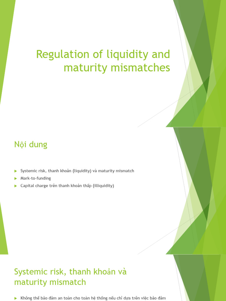 Regulation of Liquidity and Maturity Mismatches | PDF