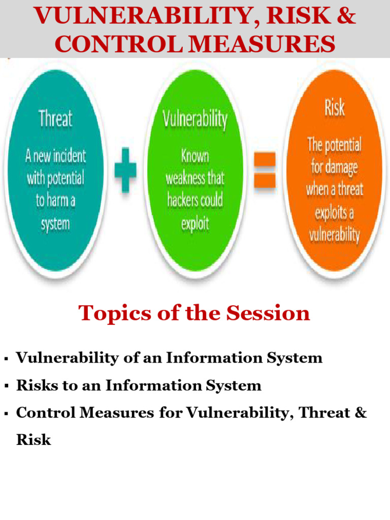 Vulnerability, Risk & Control Measures | PDF