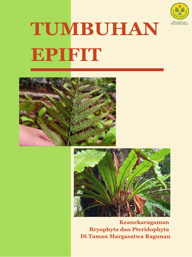 Keanekaragaman Tumbuhan Epifit di Ragunan | PDF