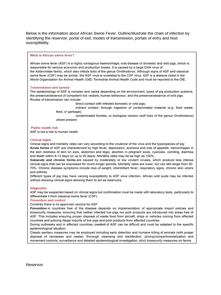 Learning Act 2 | PDF | Infection | Virus