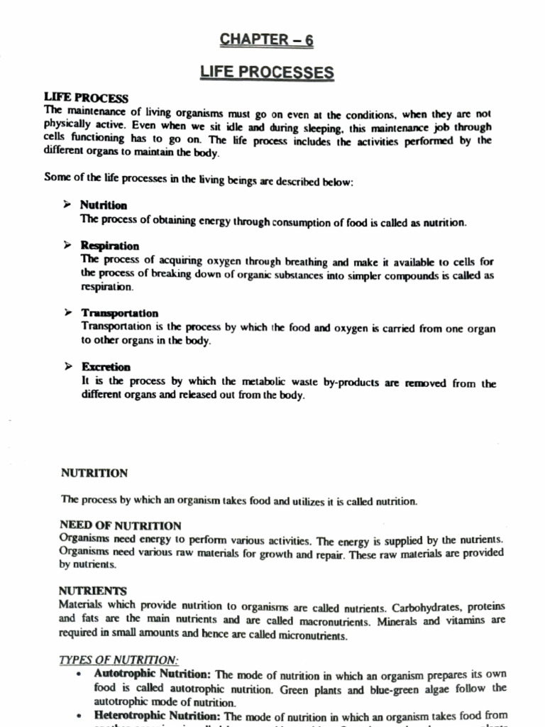 Life Processes - Nutrition Class 10 | PDF | Nutrition | Diet & Nutrition