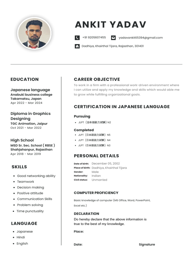 Ankit's CV Resume | PDF