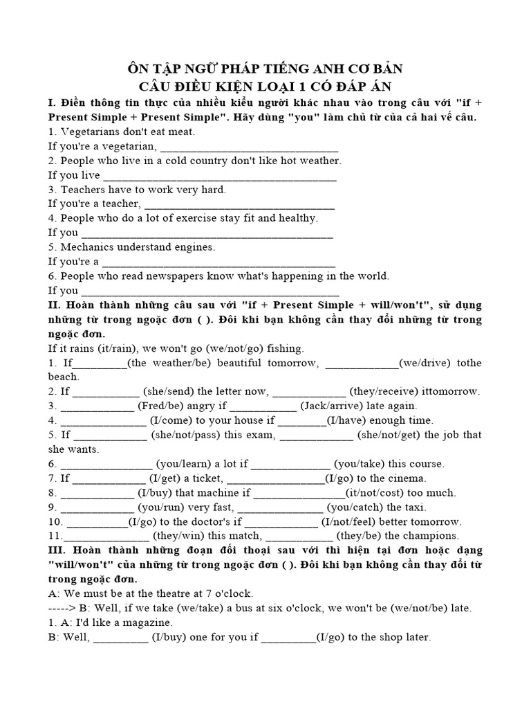 Bai Tap Ve Cau Dieu Kien Loai 1 | PDF