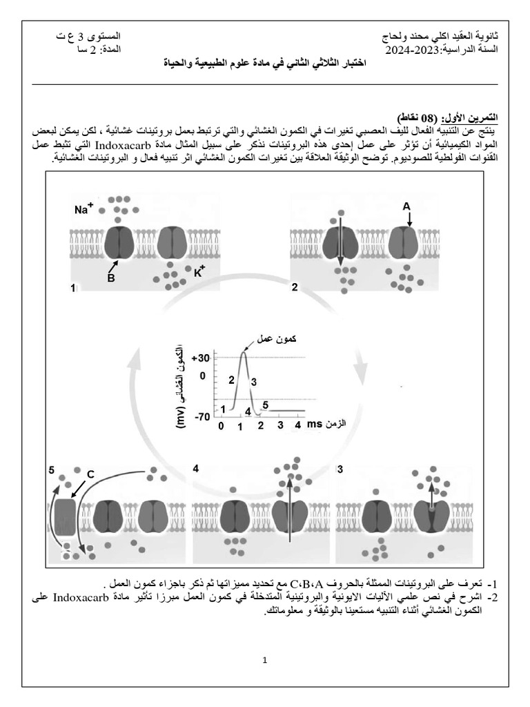 Compo 3as 2tri 2024 | PDF