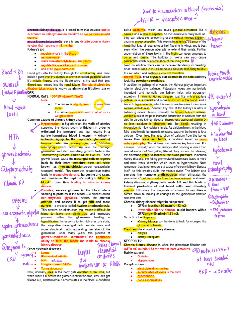 Clinpharm Lec Merge | PDF | Kidney | Chronic Kidney Disease