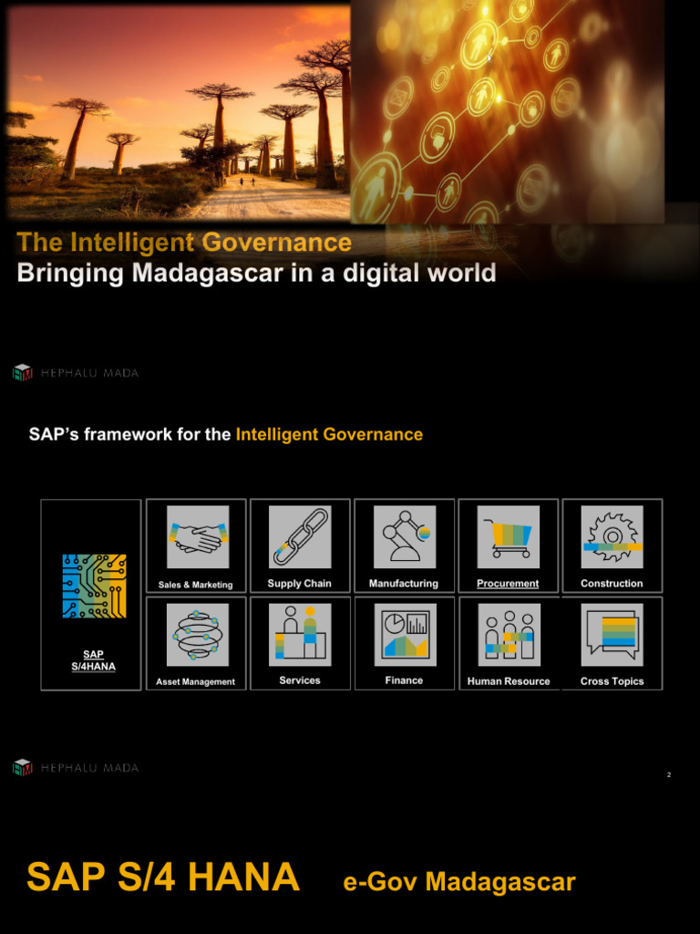 HEPHALU - Public Sector Madagascar - Short | PDF | Identity Document ...