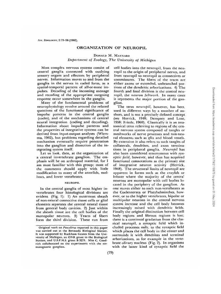 Organization of Neuropil Donald M. Maynard 1962 | PDF | Chemical ...