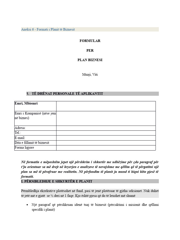 Formati Plan Biznesi 1 | PDF